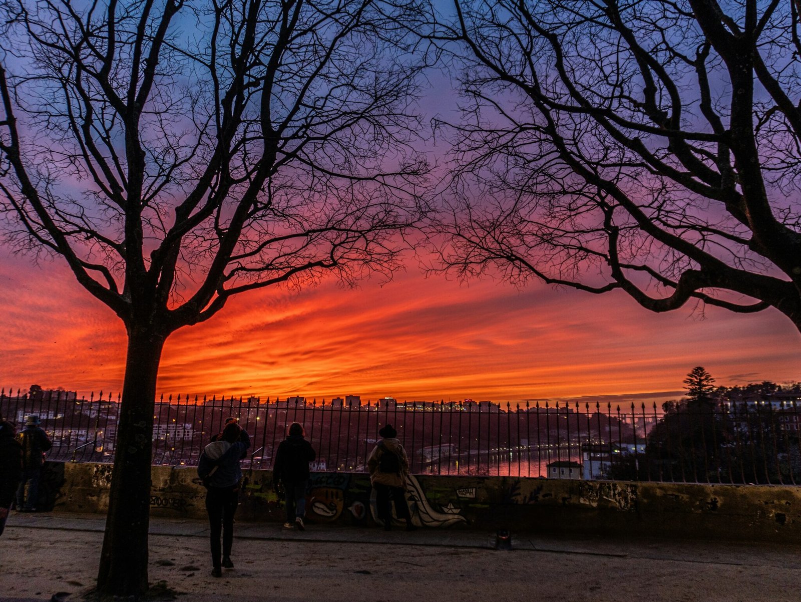Melhores Miradouros do Porto: as vistas que não podes perder